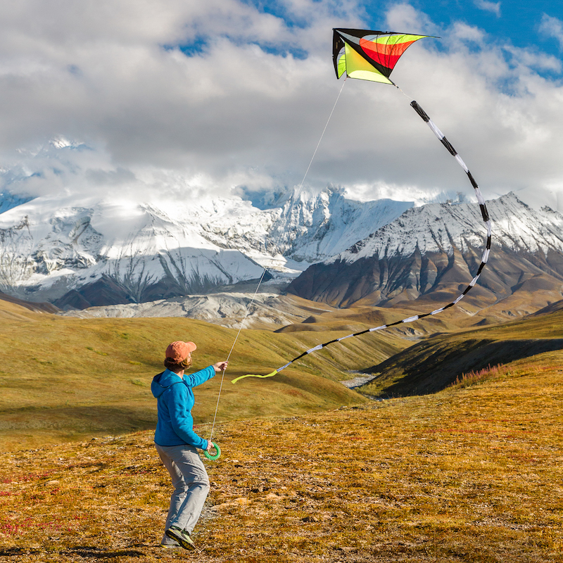 Line and Accessories - Single Line Kites - KITES